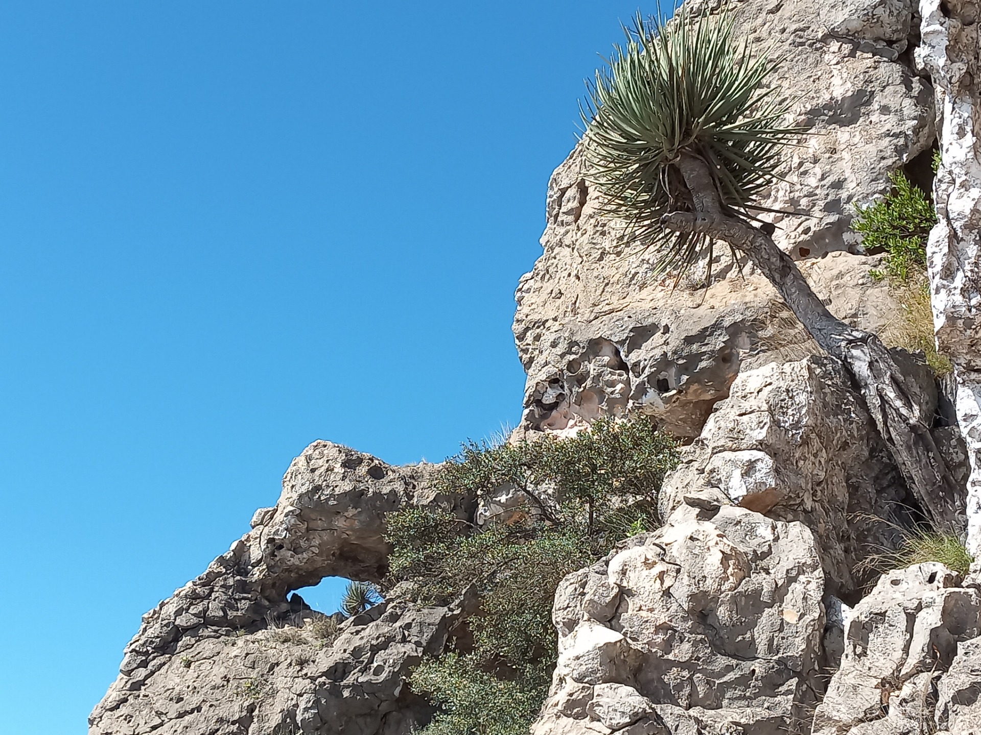 Wadi Darbat + Jabal Samhan :: safaritour.cz